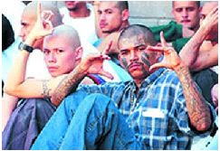 "Mundo Joven": -.Las Pandillas Juveniles.-